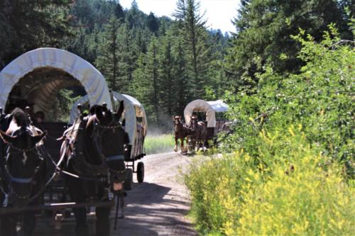 Photos - Bar T 5 Covered Wagon Cookout & Show